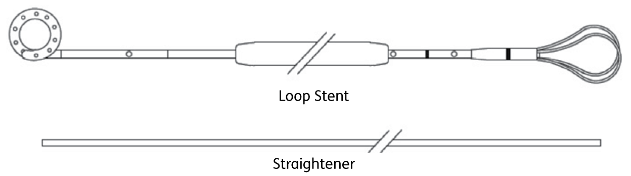 Loop stent - Medpro Medical Holland