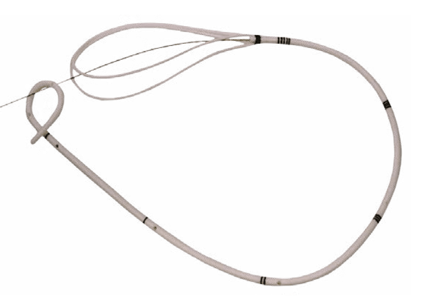 Loop stent - Medpro Medical Holland